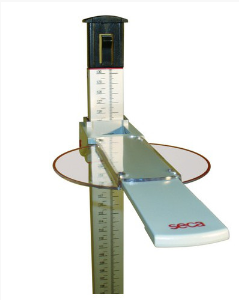 seca 222 Wall-Mounted Stadiometer - stadiometer.com