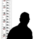 Height Indicator - Wall Growth Chart - stadiometer.com